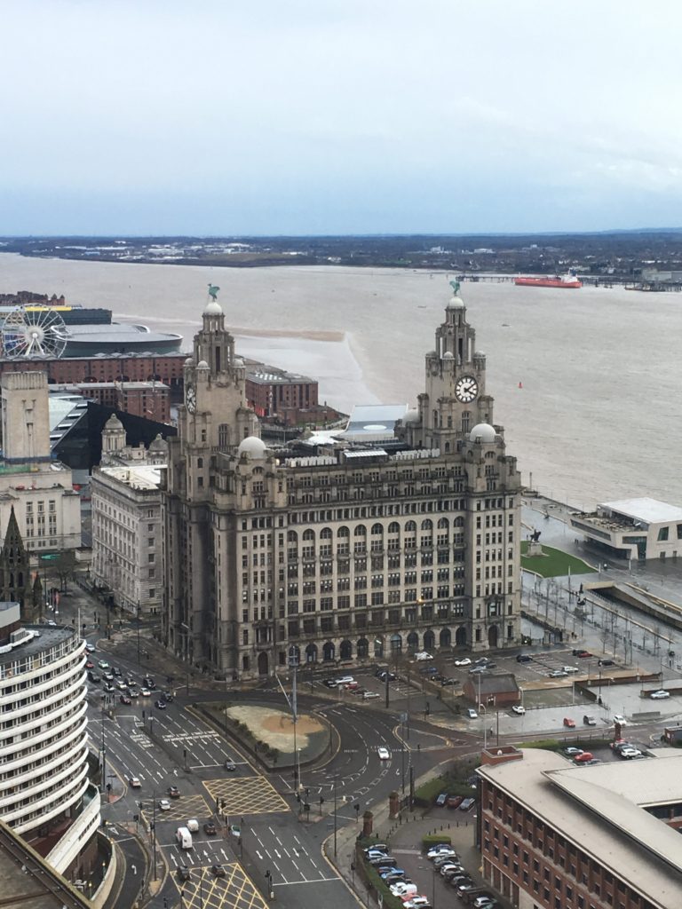 Chatting With Robbie Scotcher, A Crystal Palace Supporter | And Could ...